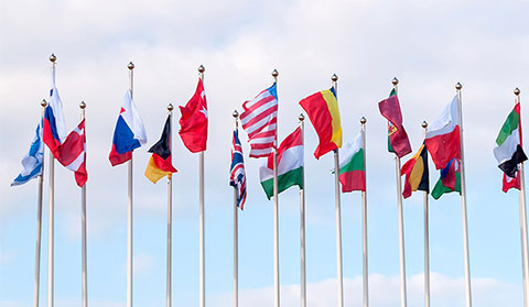 Flag Fabrics – SGP Fabrics